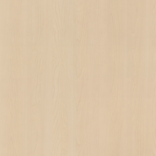 Noyeks > POLYREY - E009 Érable Blanc > Polyrey - HPL