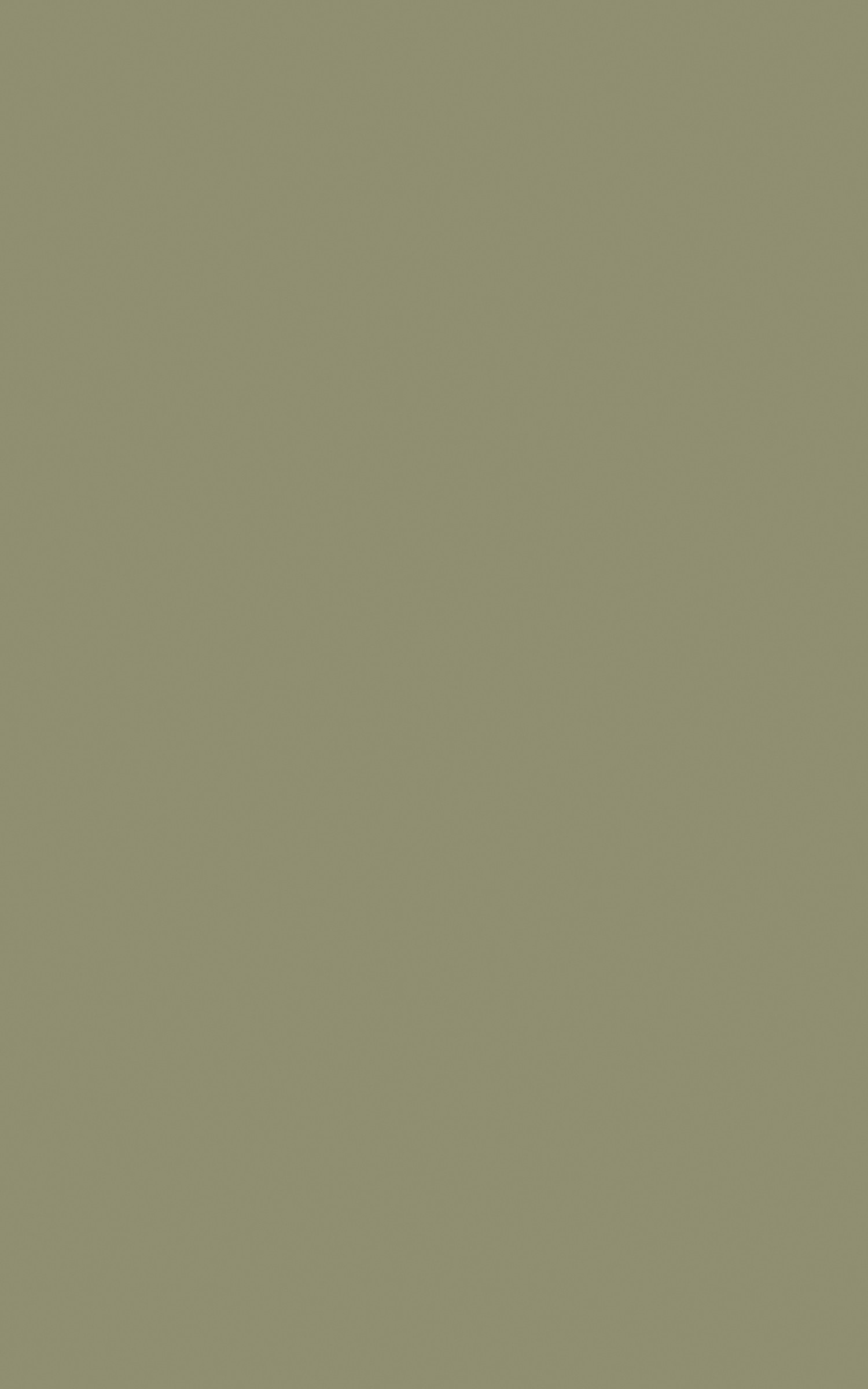 Noyeks > POLYREY - K003 Kaki > Polyrey - HPL